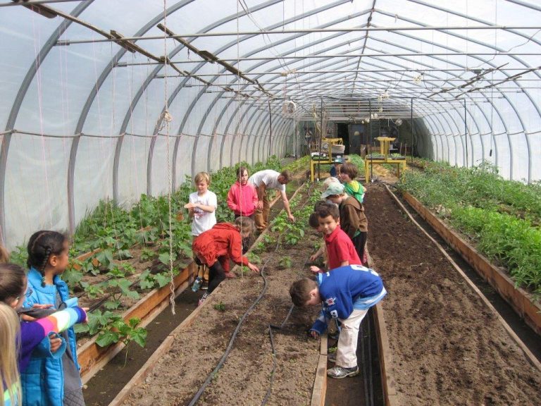 Students Serving Salad… And So Much More! – Farm to School BC