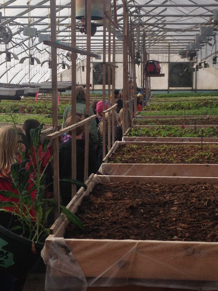 Students Serving Salad… And So Much More! – Farm to School BC