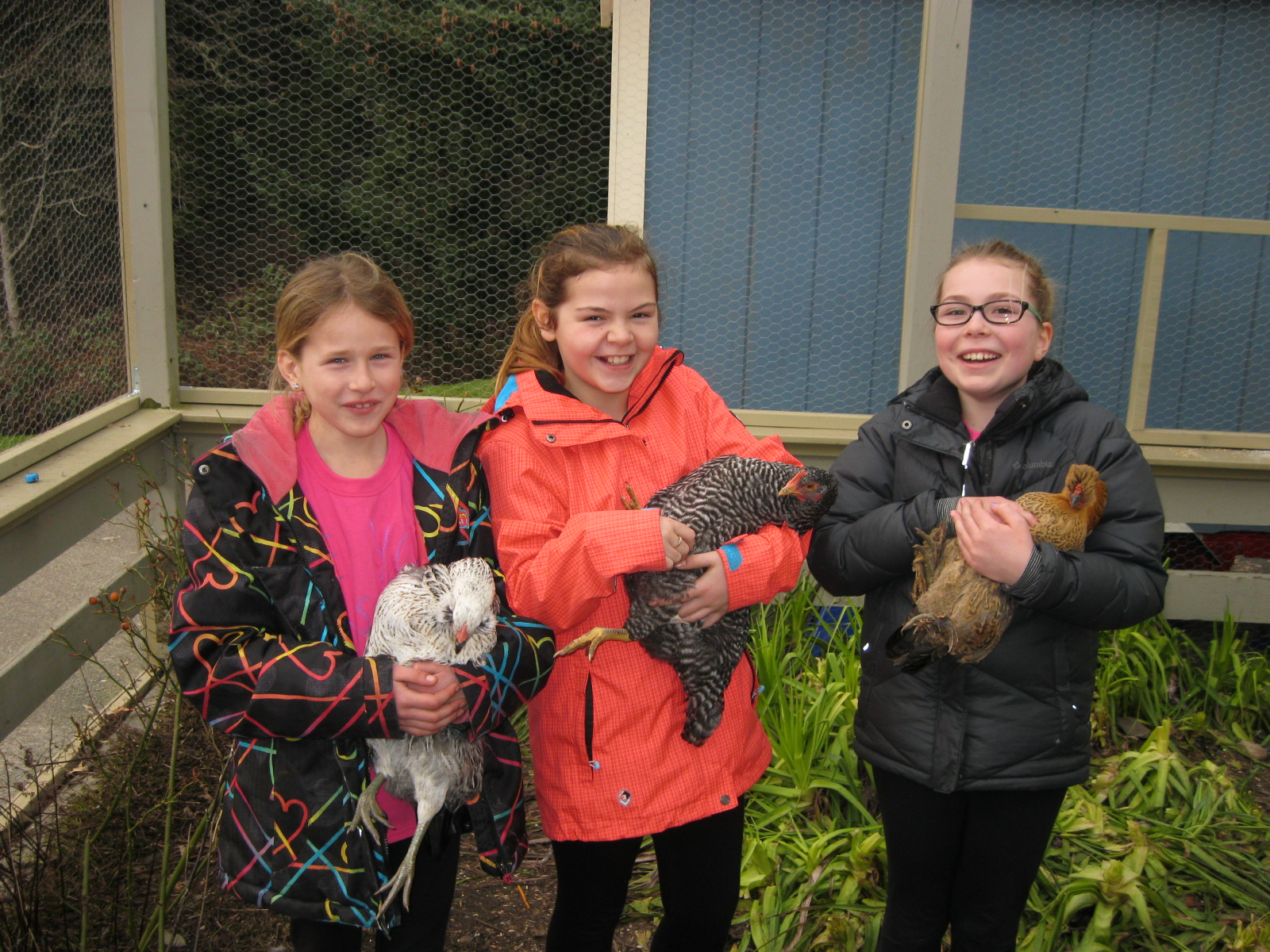 Which Came First the Chicken or the Farmstand? – Farm to School BC