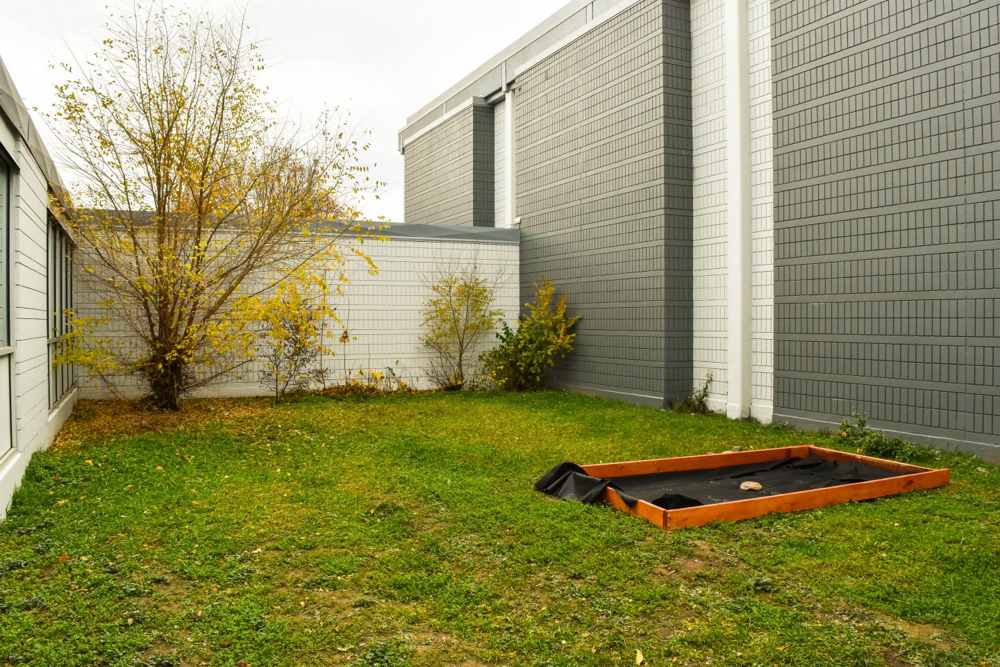 The 20 meter Diet at NorKam Secondary, Kamloops – Farm to School BC